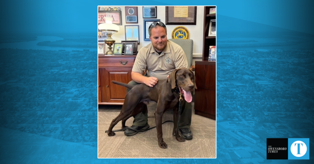 Sheriff’s Office adds explosive detection K-9 to team - The Owensboro Times